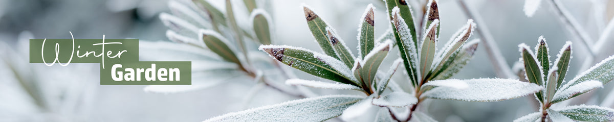 In-Excess - Quality for Less! – In-Excess Direct