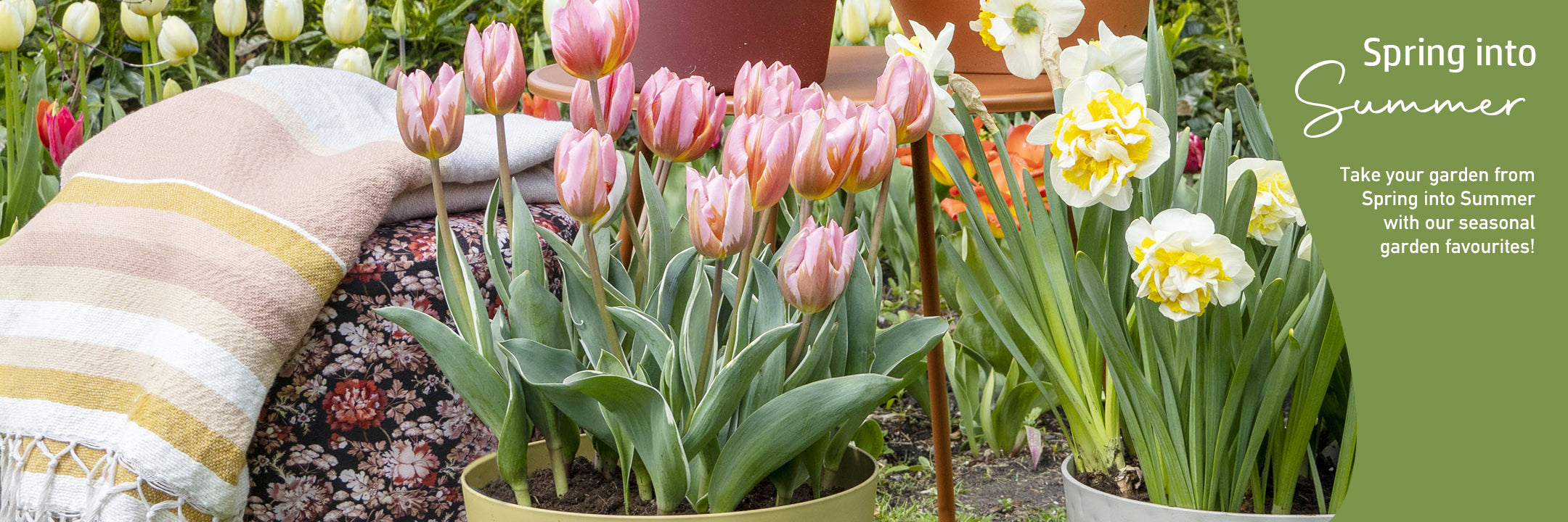 In-Excess - Quality for Less!