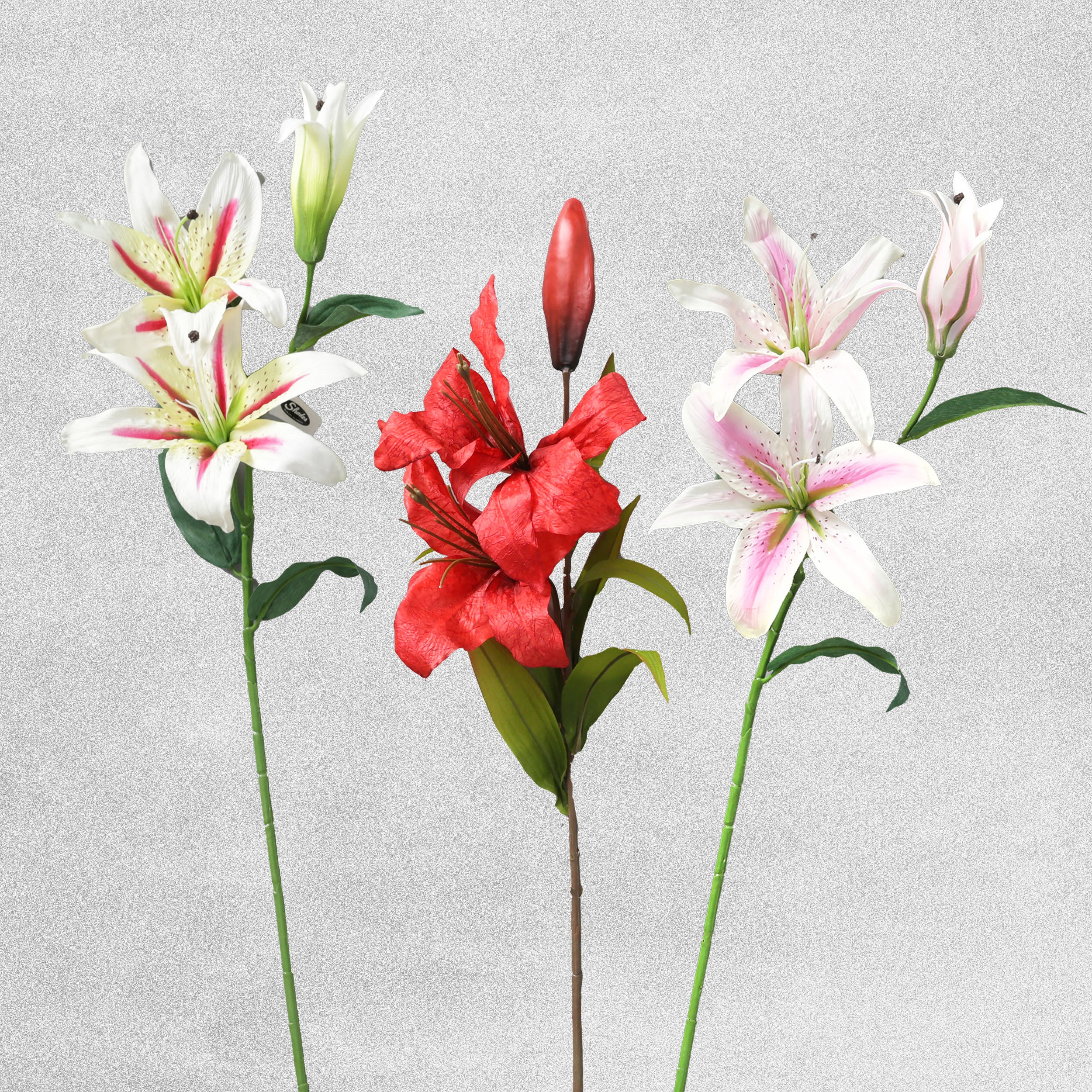 Ornaments & Decorative