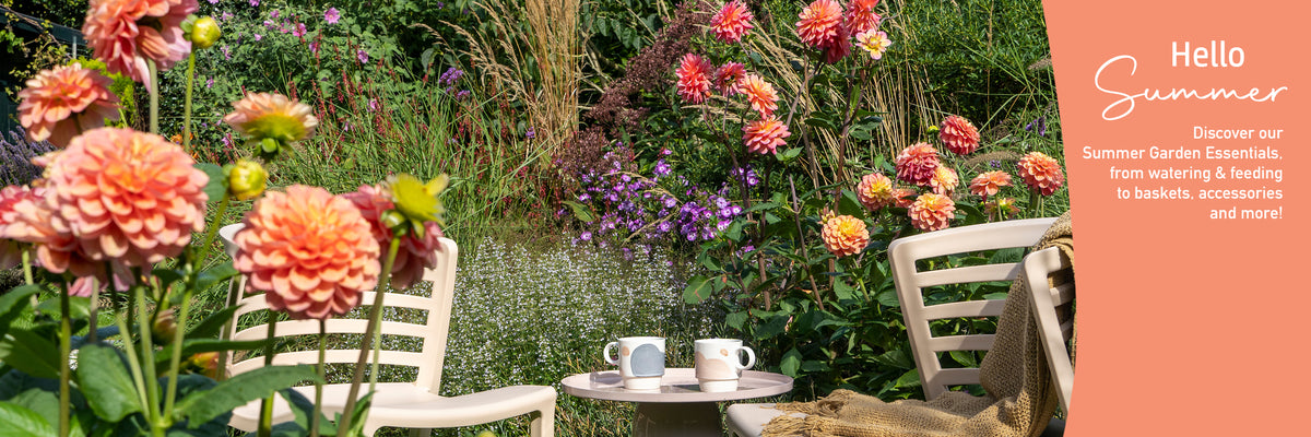 In-Excess - Quality for Less!