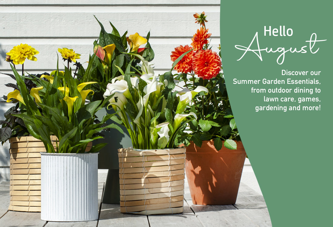 In-Excess - Quality for Less!